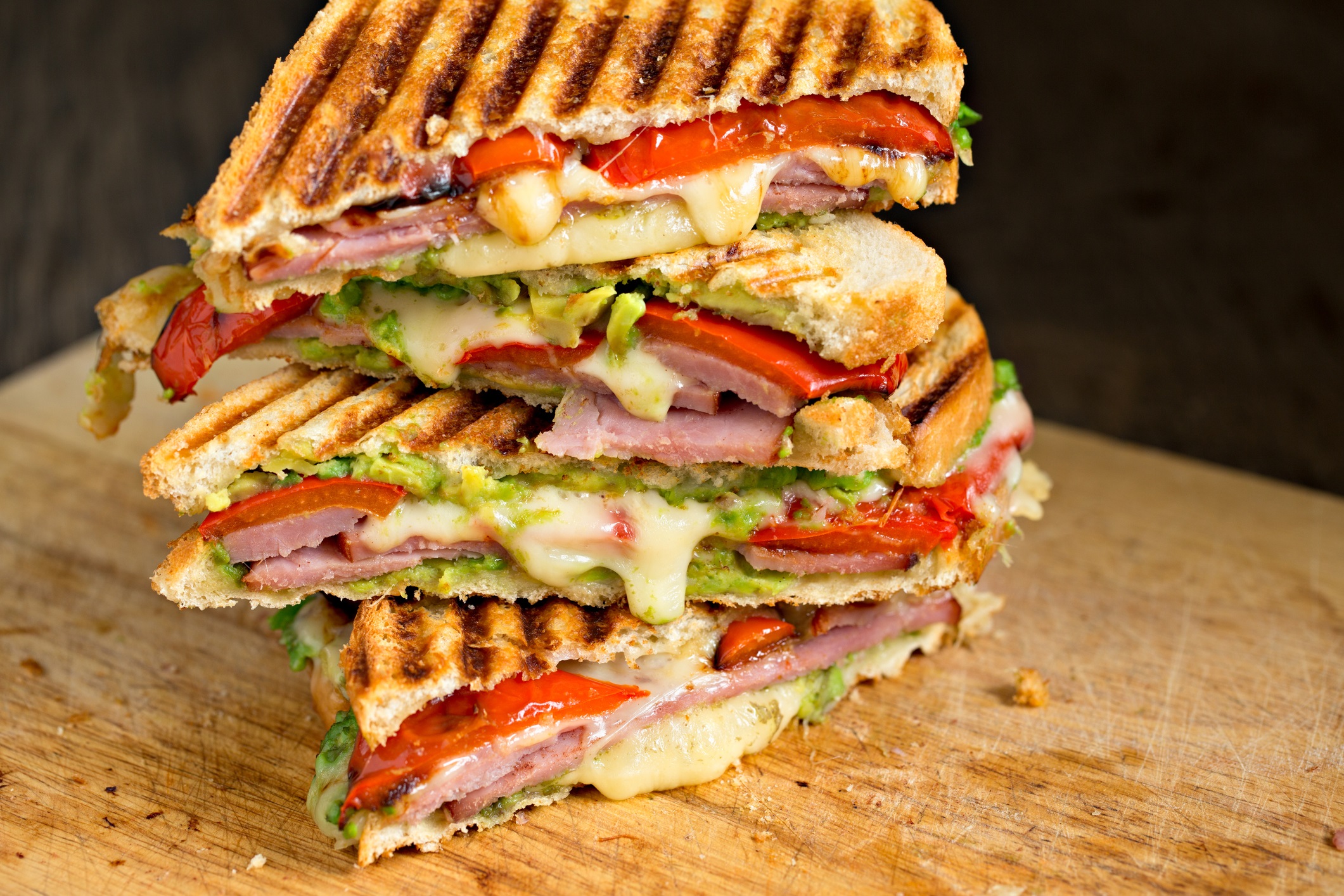 Hamilton Beach Panini Maker Detailed Review Inside SimpleGreenMoms