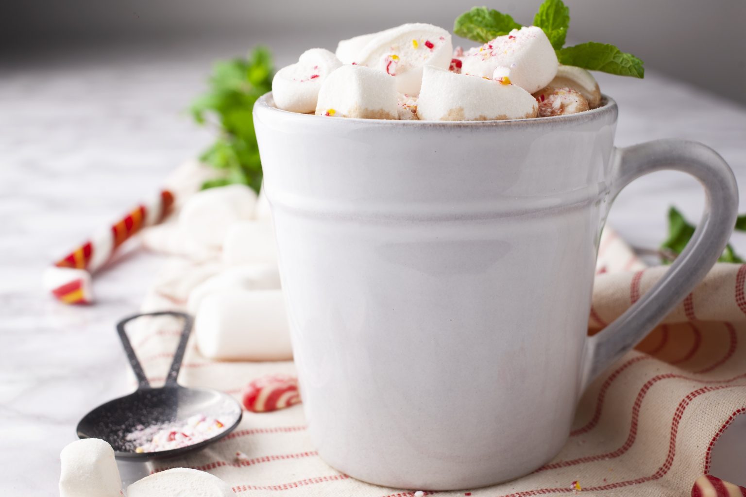 Best Hot Chocolate Recipes[you'll love this winter!]-Simple Green Moms