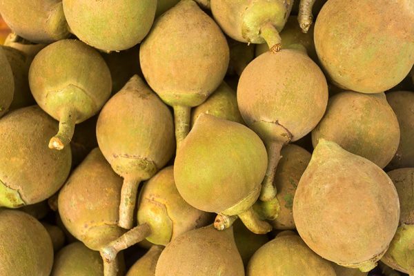 8 Fruits that Start with Q [Out of this World Delicious!] - SimpleGreenMoms