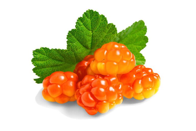 35 Fruits that Start with C {Juicy & Refreshing!} - Simple Green Moms