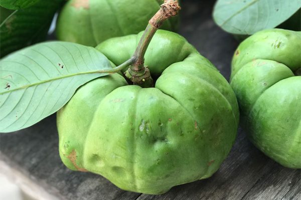 25 Fruits That Start With G {Juicy & Nutritious!} - Simple Green Moms