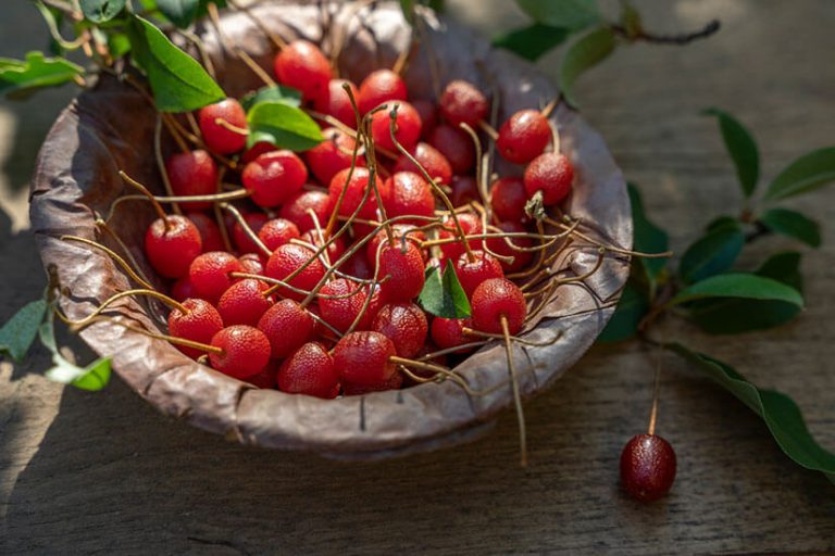 25 Fruits That Start With G {Juicy & Nutritious!} - Simple Green Moms