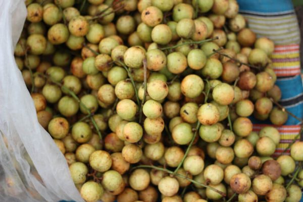 25 Fruits That Start With R {Delicious & Healthy!} - Simple Green Moms