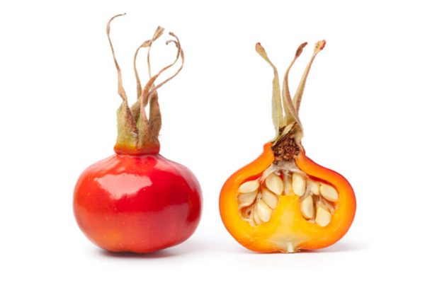 25 Fruits That Start With R {Delicious & Healthy!} - Simple Green Moms