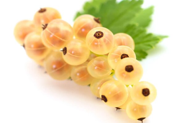 25 Fruits That Start With W {Mouthwatering & Tasty!} - SimpleGreenMoms