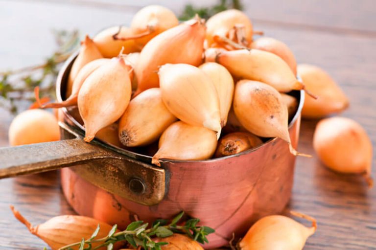 27 Vegetables that Start with P {Healthy & Delicious!} - SimpleGreenMoms