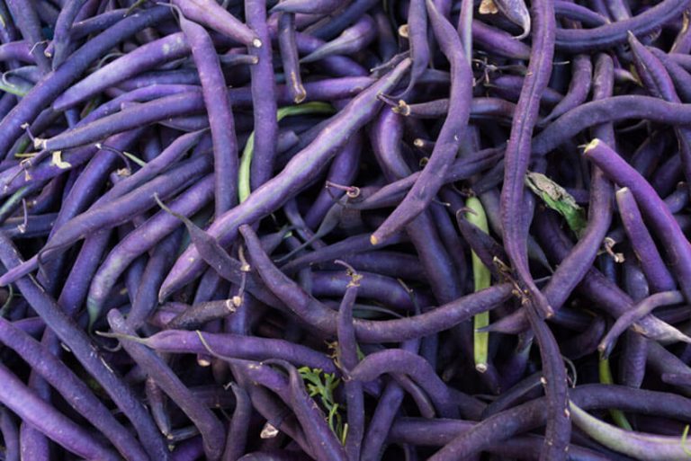 25 Purple Foods: You Have To Try! {Unique & Tasty!} -SimpleGreenMoms